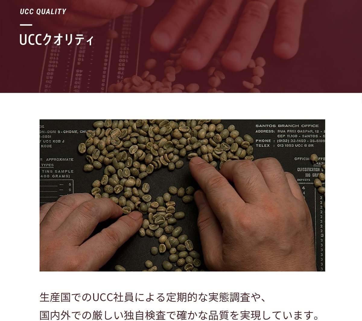 UCC Gold Special - Kilimanjaro Blend 280g Regular Coffee (Powder) – Japanned